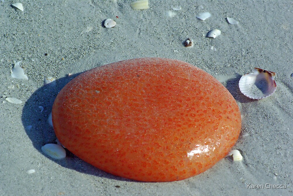 "Beach Blobs" by Karen Checca | Redbubble