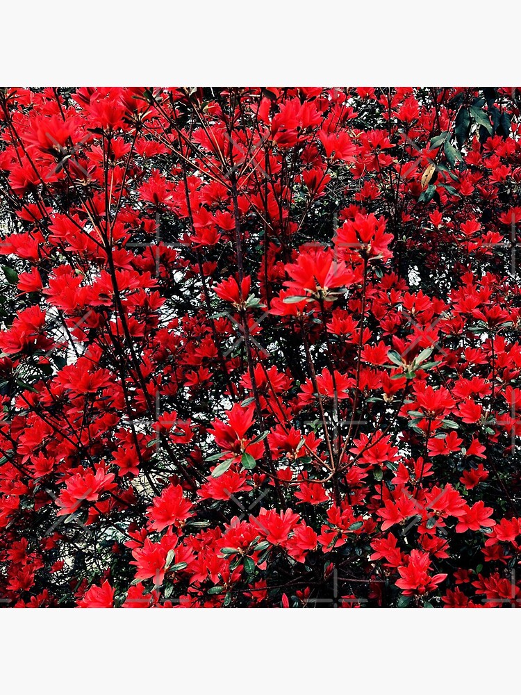 "Stark Red" Sticker for Sale by Beardeaux | Redbubble