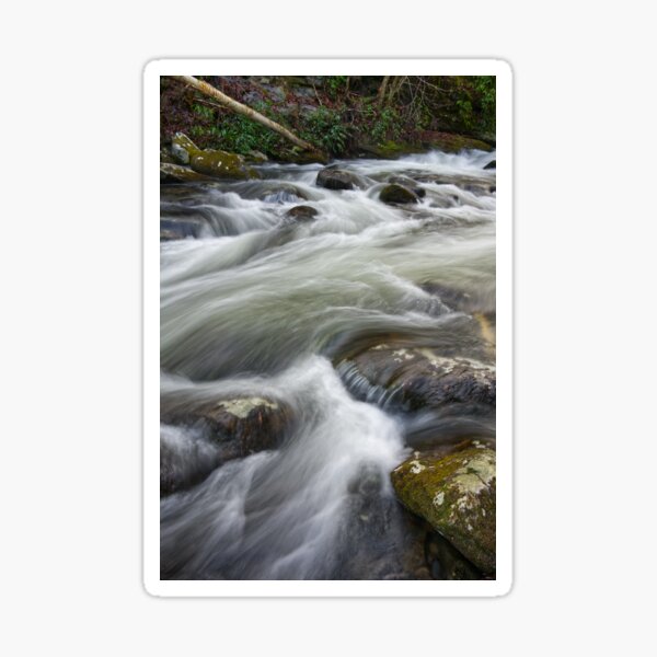 "Carving a Path" Sticker for Sale by perkinsdesigns | Redbubble