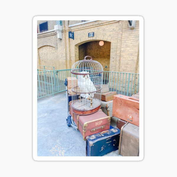 "Hedwig" Sticker for Sale by rachelkreidt | Redbubble