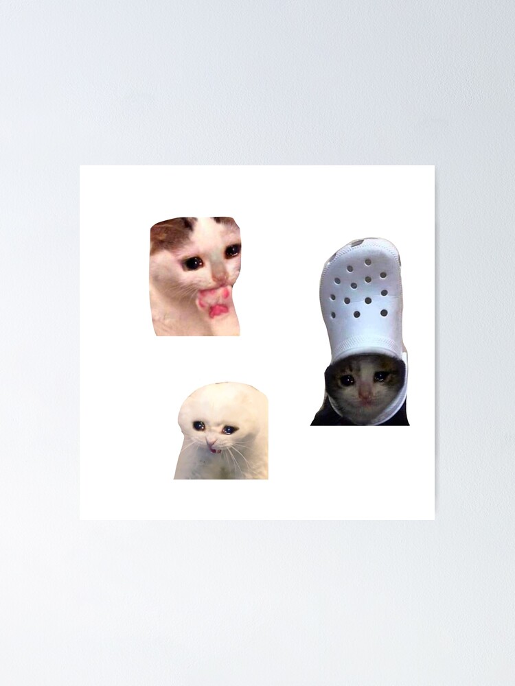 "sad cats stickers " Poster for Sale by Noishop | Redbubble