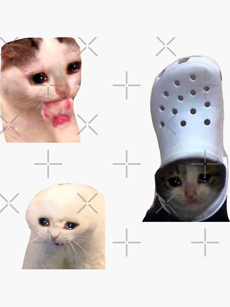 "sad cats stickers " Sticker for Sale by Noishop | Redbubble
