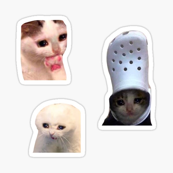 "sad cats stickers " Sticker for Sale by Noishop | Redbubble