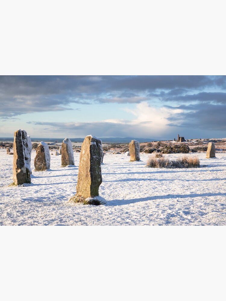 "STONE COLD" Sticker for Sale by Andrew-Hocking | Redbubble