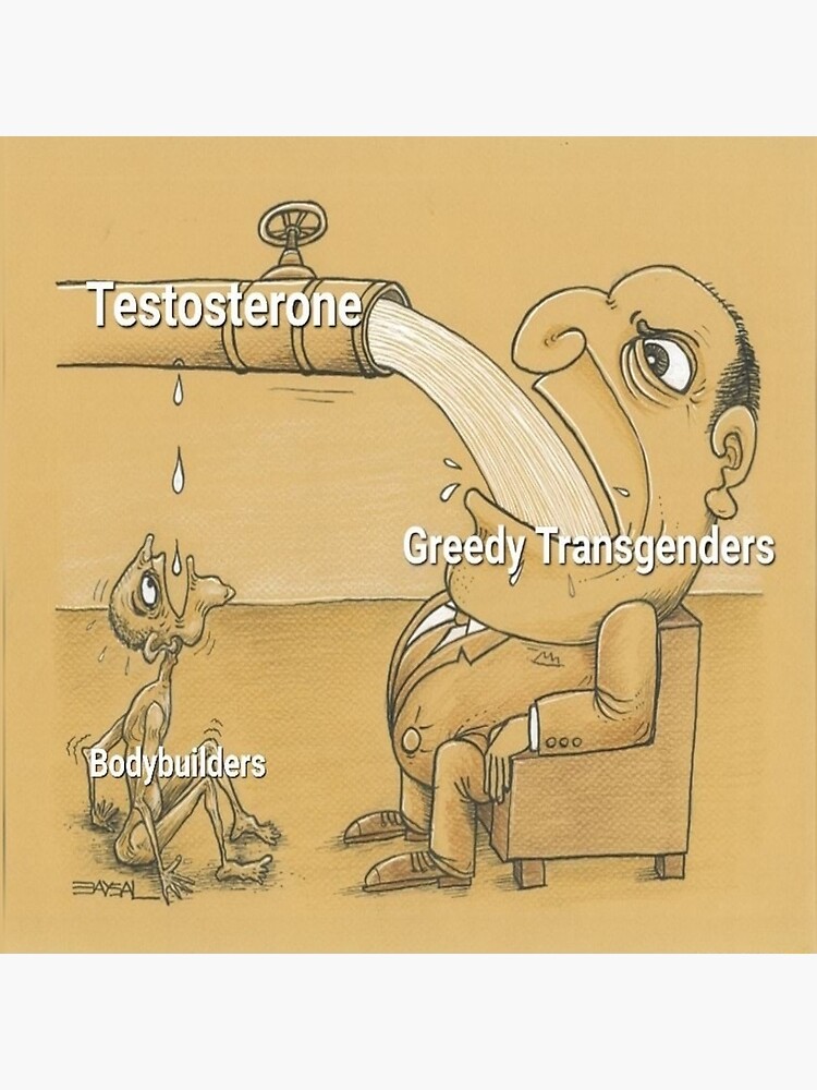 "testosterone, transgenders and bodybuilders meme" Poster for Sale by ...