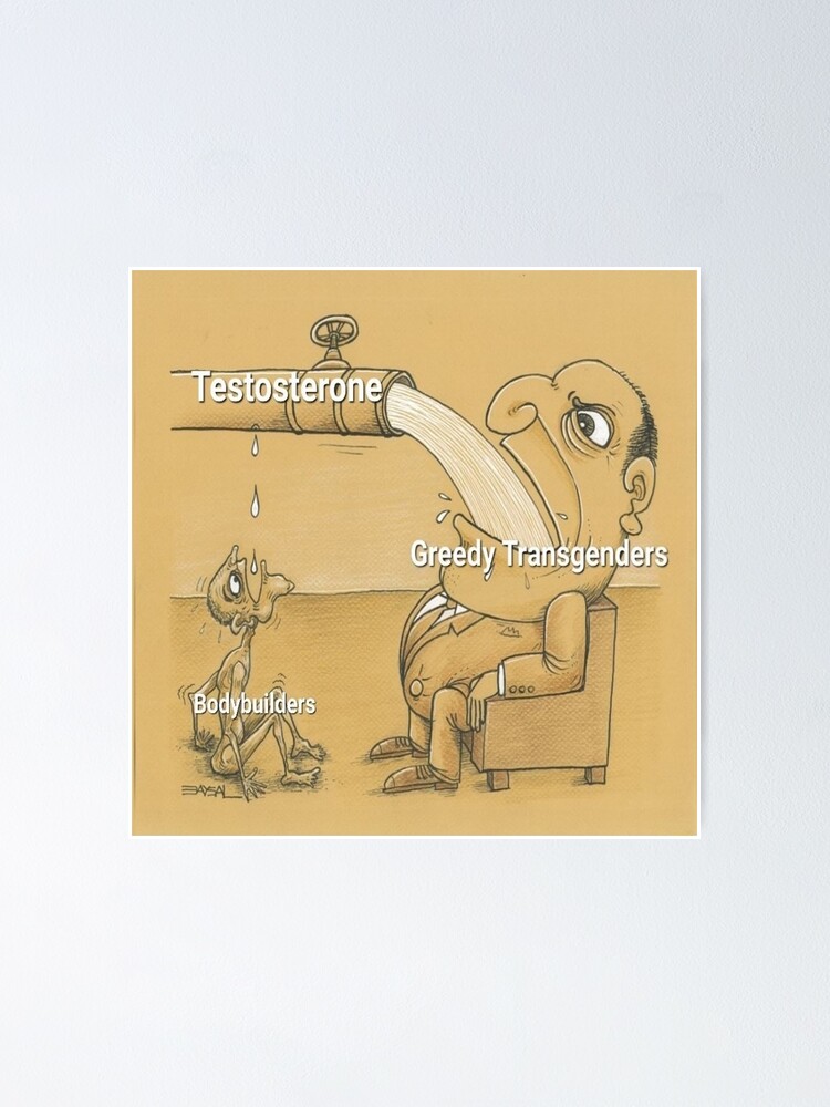 "testosterone, transgenders and bodybuilders meme" Poster for Sale by ...