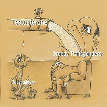 "testosterone, transgenders and bodybuilders meme" Sticker for Sale by ...