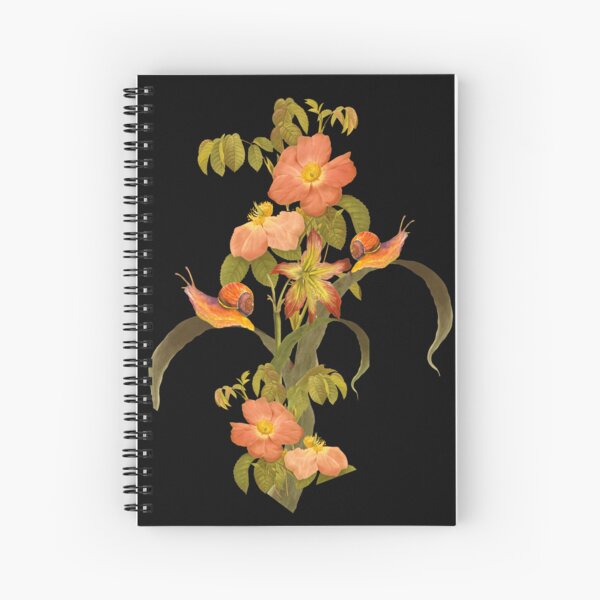 "SNAILS IN THE GARDEN - BOTANICAL SNAILS - GARDEN SNAILS" Spiral ...