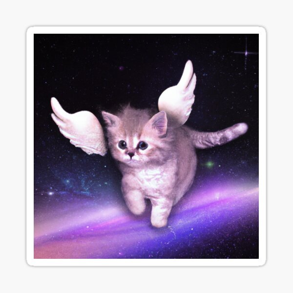 "AI Art Cute Fluffy Kitten flying trough Space" Sticker for Sale by ...