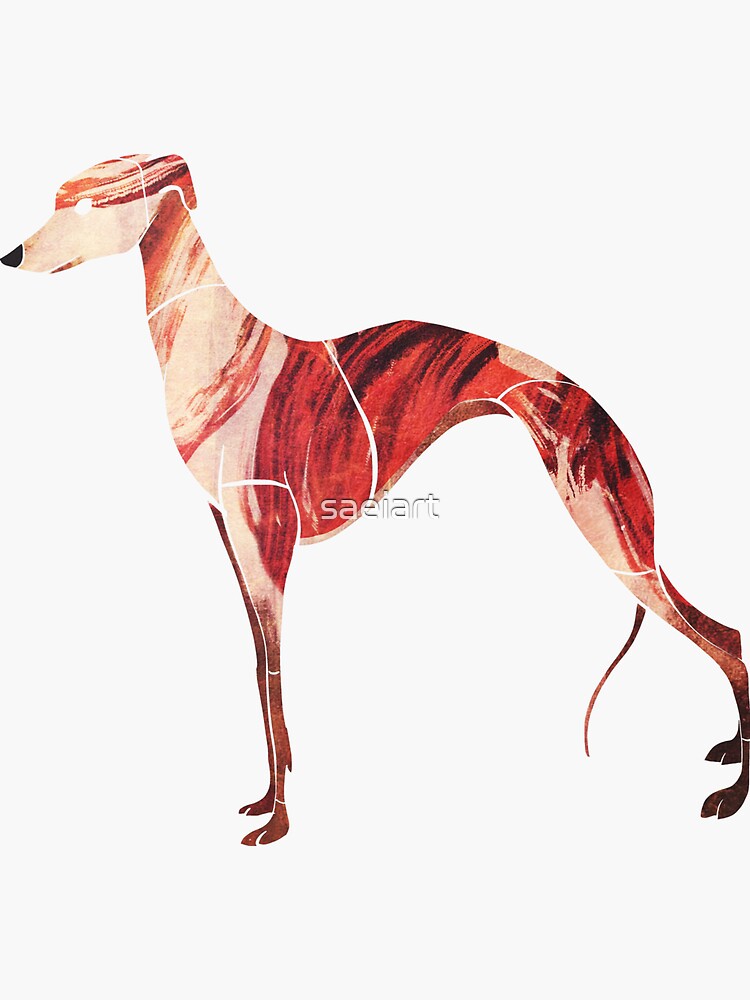 "Whippet " Sticker for Sale by saeiart | Redbubble