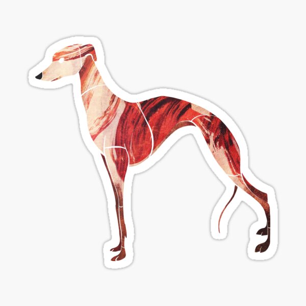 "Whippet " Sticker for Sale by saeiart | Redbubble