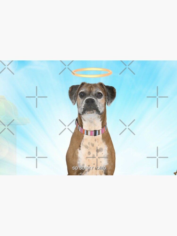 "Sorry I Died Dog Nathan for You" Sticker for Sale by skylerrwhite ...