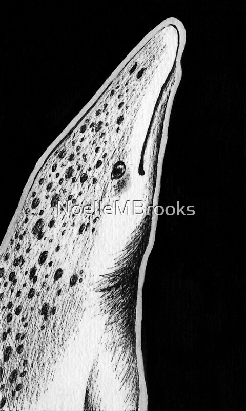 "Leucism: Protocetus atavus" by NoelleMBrooks | Redbubble