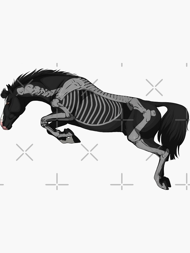 "Jumping Skeleton Horse" Sticker for Sale by Kelsey Johnson | Redbubble