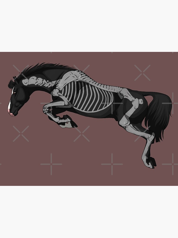 "Jumping Skeleton Horse" Postcard for Sale by Kelsey Johnson | Redbubble