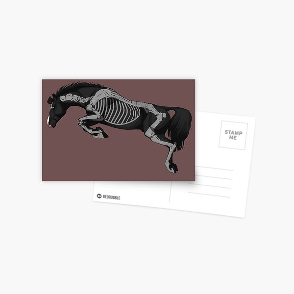 "Jumping Skeleton Horse" Postcard for Sale by Kelsey Johnson | Redbubble