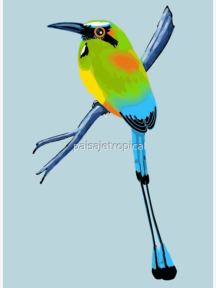 "Beautiful Torogoz of El Salvador" Poster by paisajetropical | Redbubble