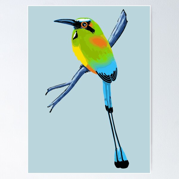 "Beautiful Torogoz of El Salvador" Poster by paisajetropical | Redbubble