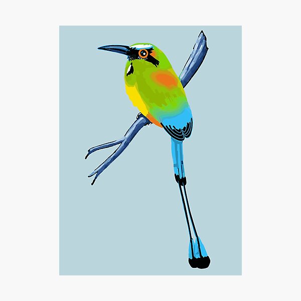 Lámina fotográfica con la obra «Beautiful Torogoz of El Salvador » de ...