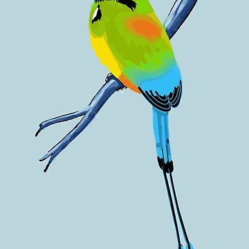 "Beautiful Torogoz of El Salvador" Poster by paisajetropical | Redbubble