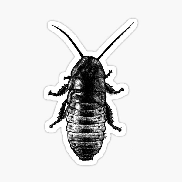 Cockroach Stickers | Redbubble