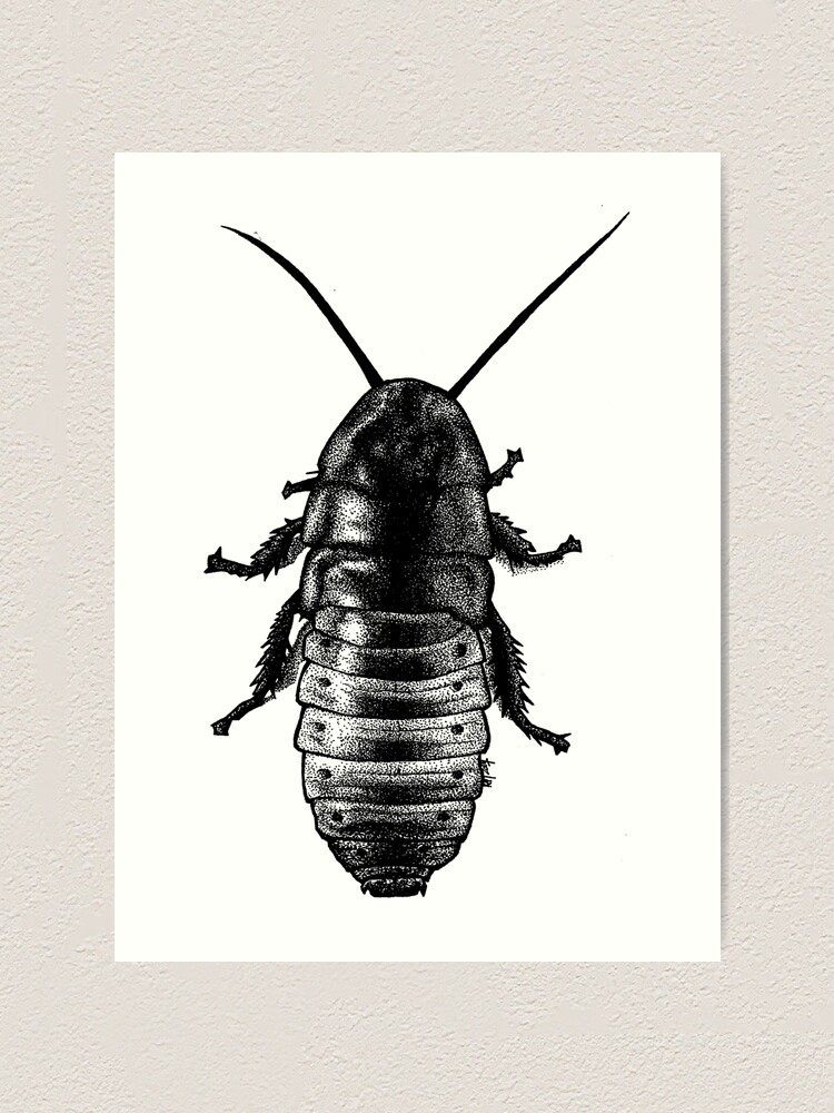 "CockRoach" Art Print for Sale by KaMsTouch | Redbubble
