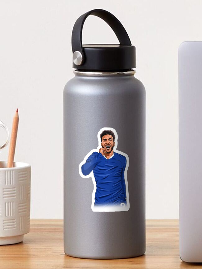 "Reece James" Sticker for Sale by ariev194 | Redbubble