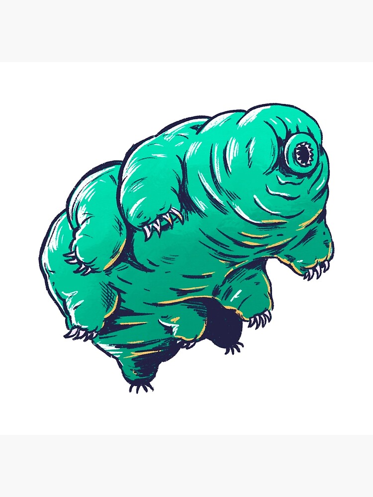 "Tardigrade" Poster for Sale by helena-dam | Redbubble