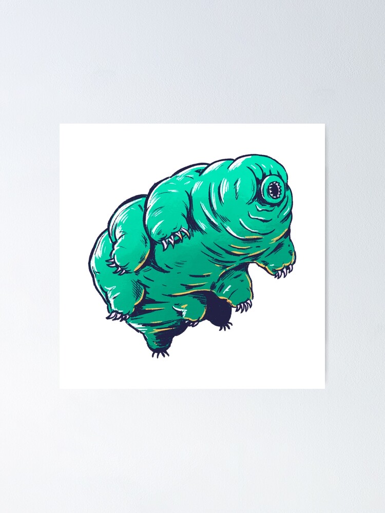 "Tardigrade" Poster for Sale by helena-dam | Redbubble