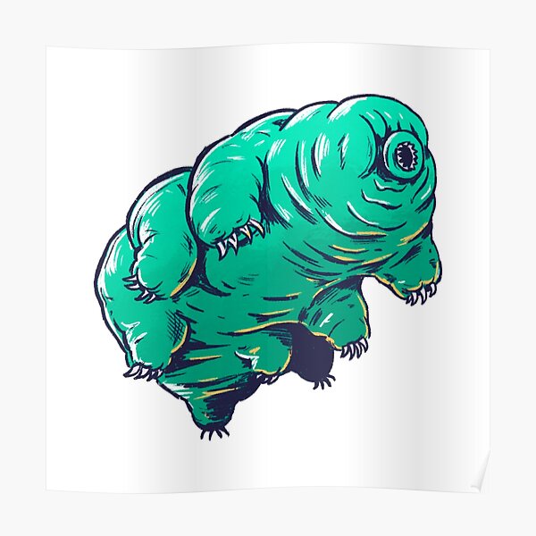 "Tardigrade" Poster for Sale by helena-dam | Redbubble