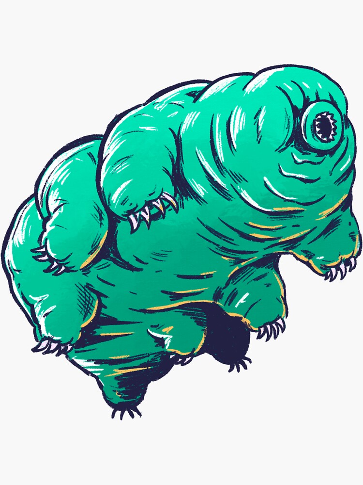 "Tardigrade" Sticker for Sale by helena-dam | Redbubble