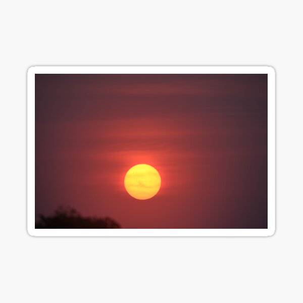 "Early Morning Sun in Red and Purple Fog" Sticker for Sale by ...
