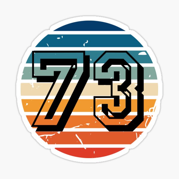 "Number 73 Vintage Retro Sport Sunset Birthday Squad Racing Numbers ...