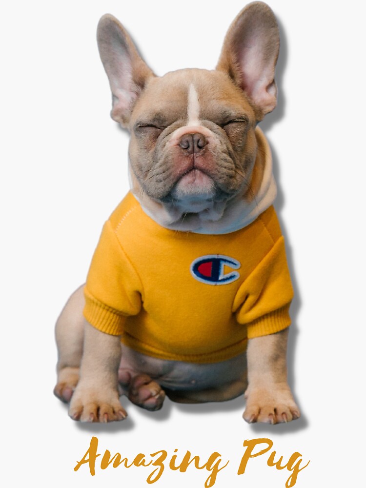 "Amazing Pug" Sticker for Sale by MerchGiants | Redbubble