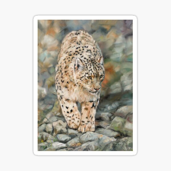 "Snow Leopard" Sticker for Sale by davidstribbling | Redbubble