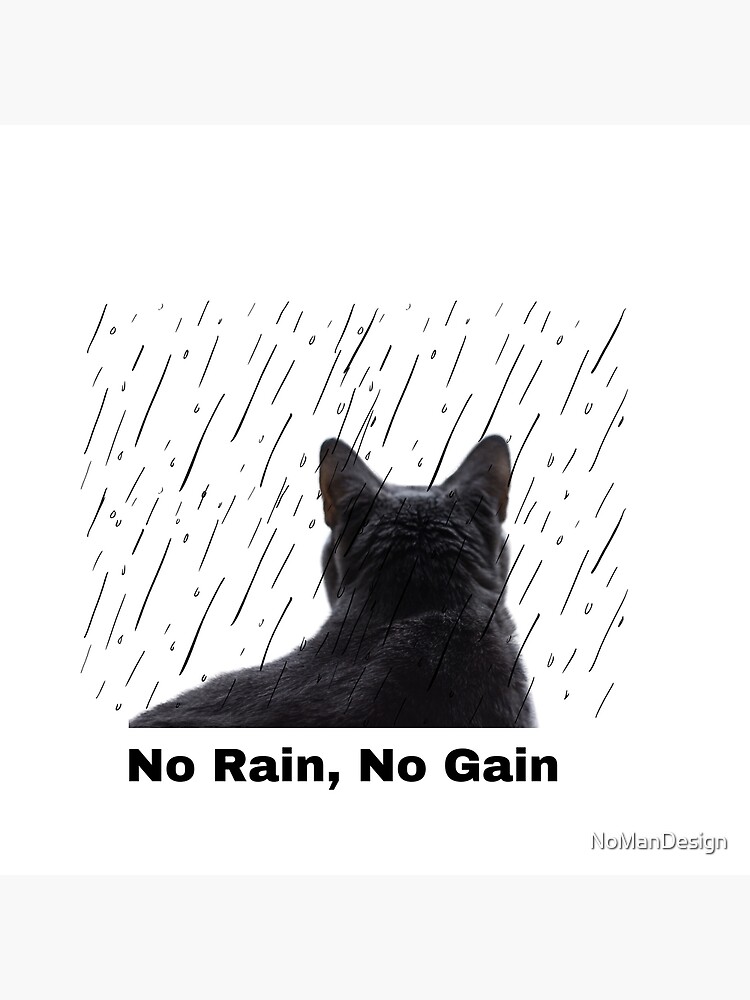 "A cat in the rain--No rain, no gain." Poster for Sale by NoManDesign | Redbubble