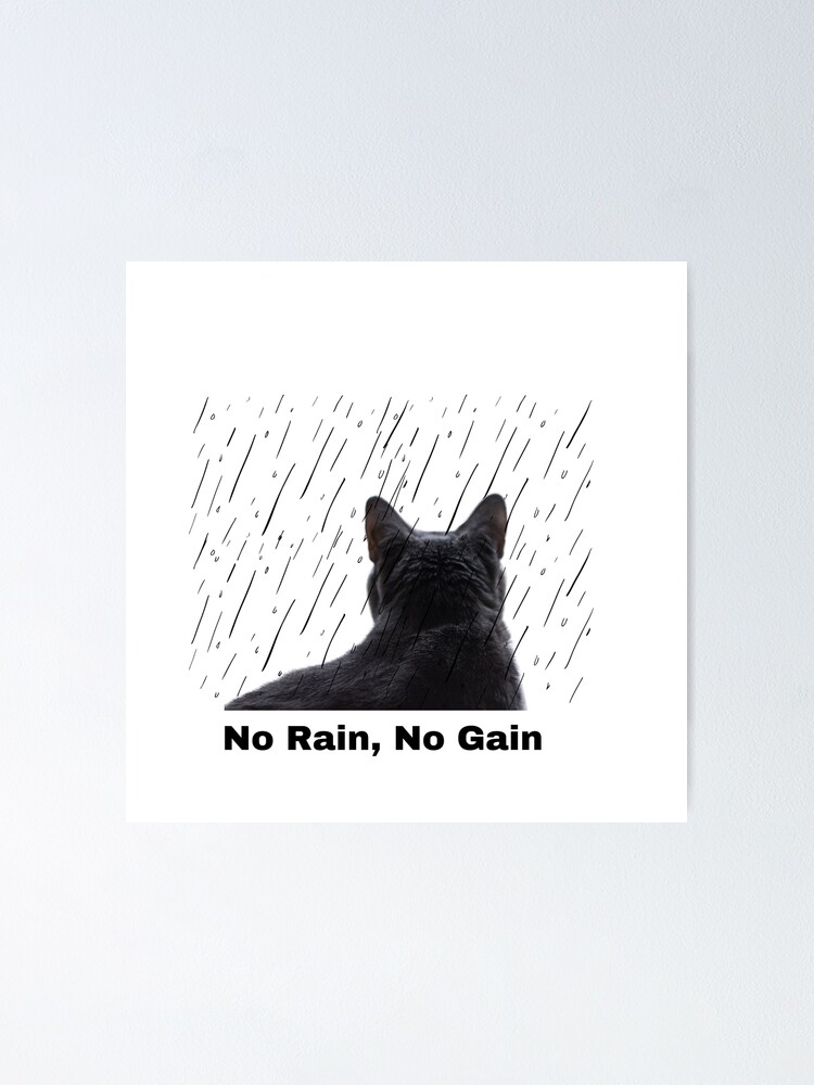 "A cat in the rain--No rain, no gain." Poster for Sale by NoManDesign | Redbubble