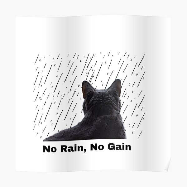 "A cat in the rain--No rain, no gain." Poster for Sale by NoManDesign ...
