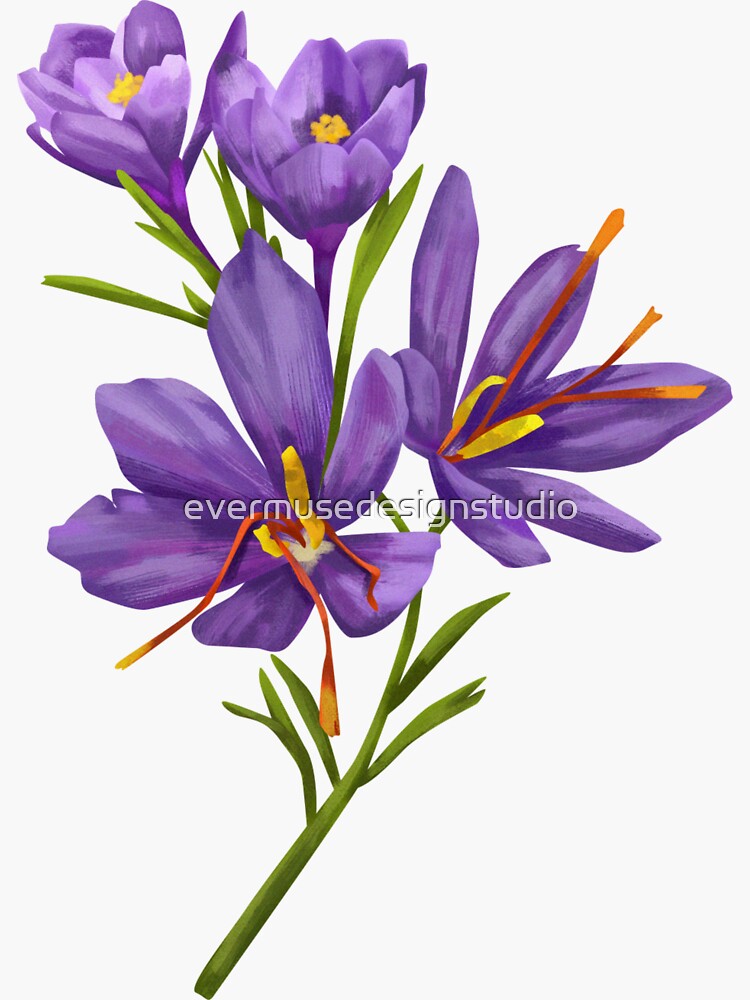 "Beautiful saffron flower design " Sticker for Sale by vaishu08 | Redbubble