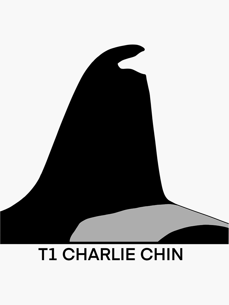 "T1 Charlie Chin dorsal fin" Sticker for Sale by OrcinusArt | Redbubble