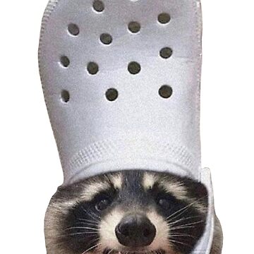 "shocked croc raccoon" Sticker for Sale by Lauren Kenney | Redbubble