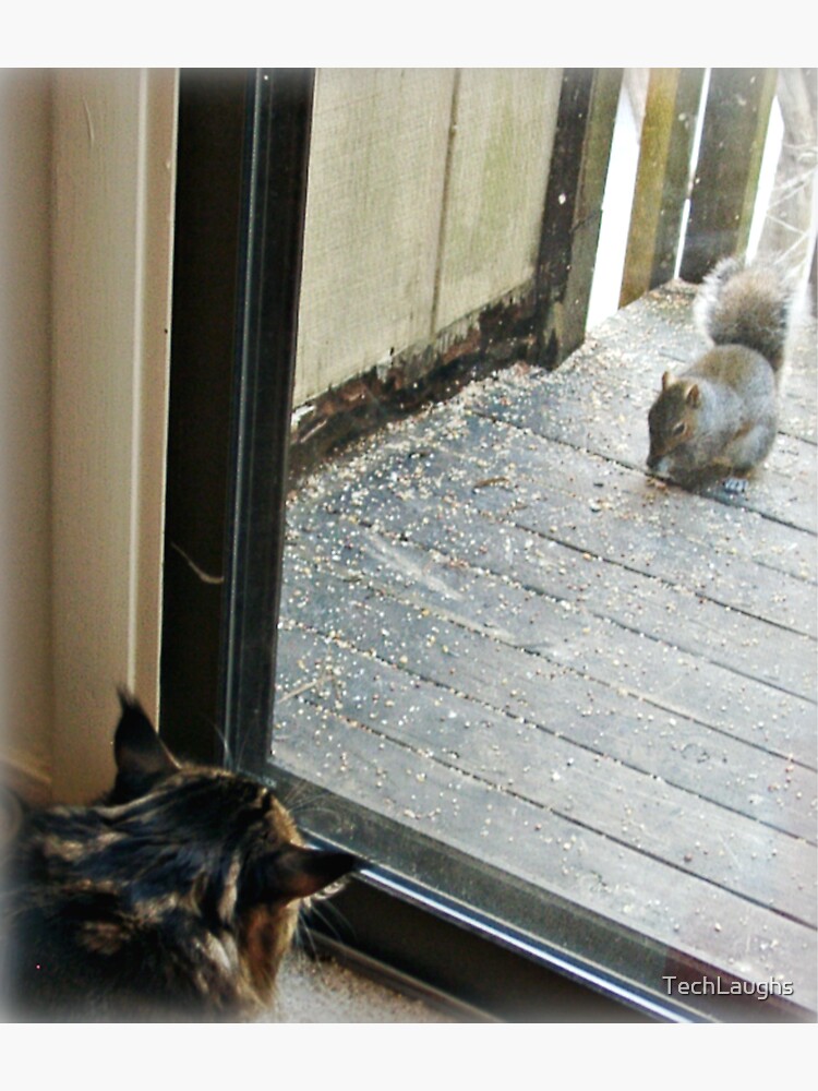 "The Maine Coon and the Squirrel" Sticker for Sale by TechLaughs ...