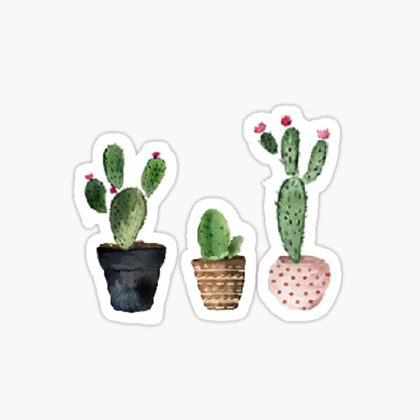 Dena Solazzo Shop | Redbubble