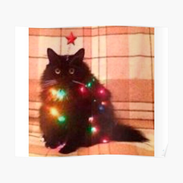 "christmas cat meme" Poster for Sale by valwerty | Redbubble