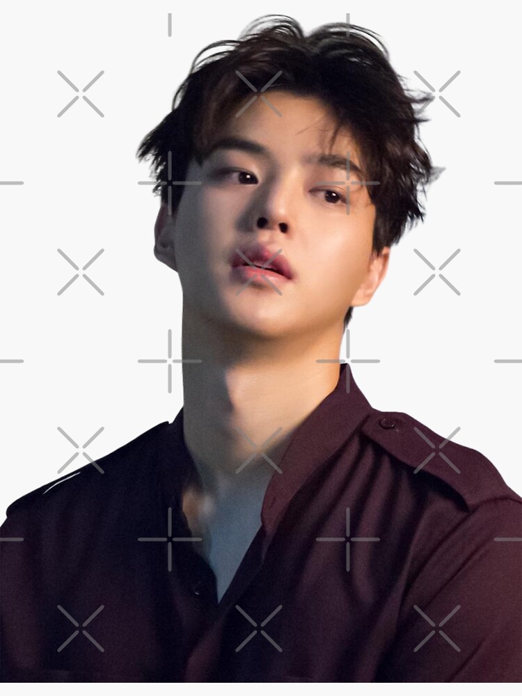 "Song Kang - V6" Sticker for Sale by shoppinggalore | Redbubble