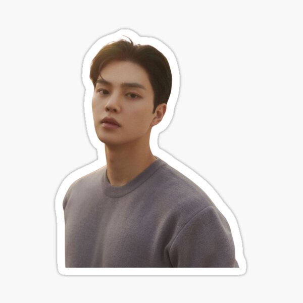 "Song Kang - V7" Sticker for Sale by shoppinggalore | Redbubble