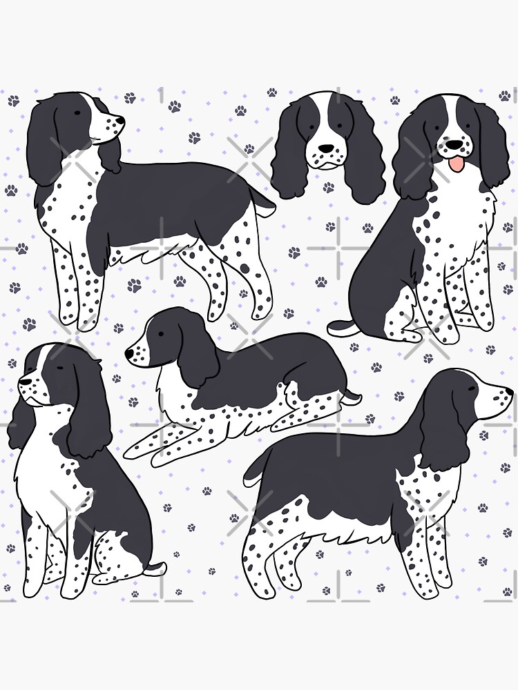 "Black English Springer Spaniel illustration pattern " Sticker for Sale ...