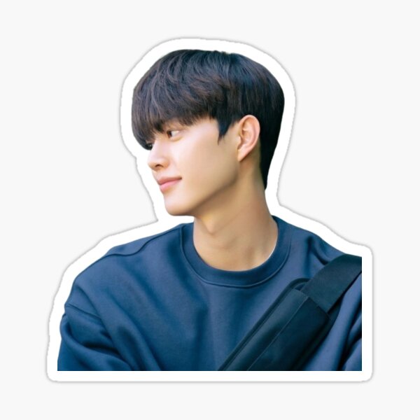"Song Kang - V26" Sticker for Sale by shoppinggalore | Redbubble
