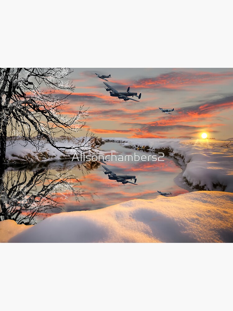 "Snowbirds" Sticker for Sale by Alisonchambers2 | Redbubble