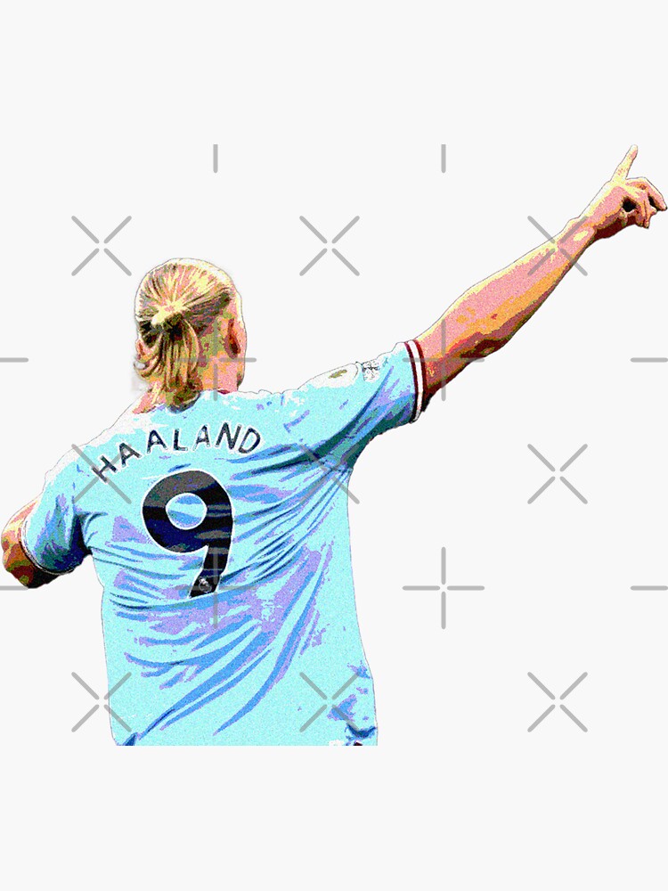"Erling Haaland Celebration" Sticker for Sale by jakecheeseman | Redbubble